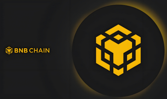 BNB币未来能涨到多少钱 BNB币行情分析_笨木鸡